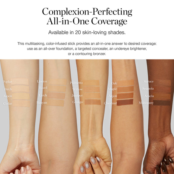 Sculpted Complexion Stick – Ogee