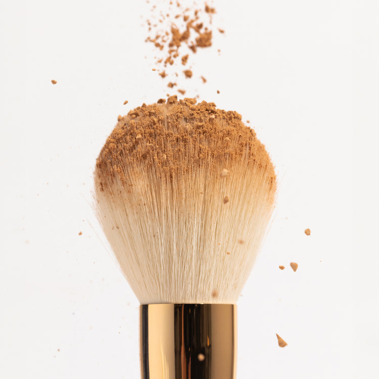The Powder Brush – Ogee