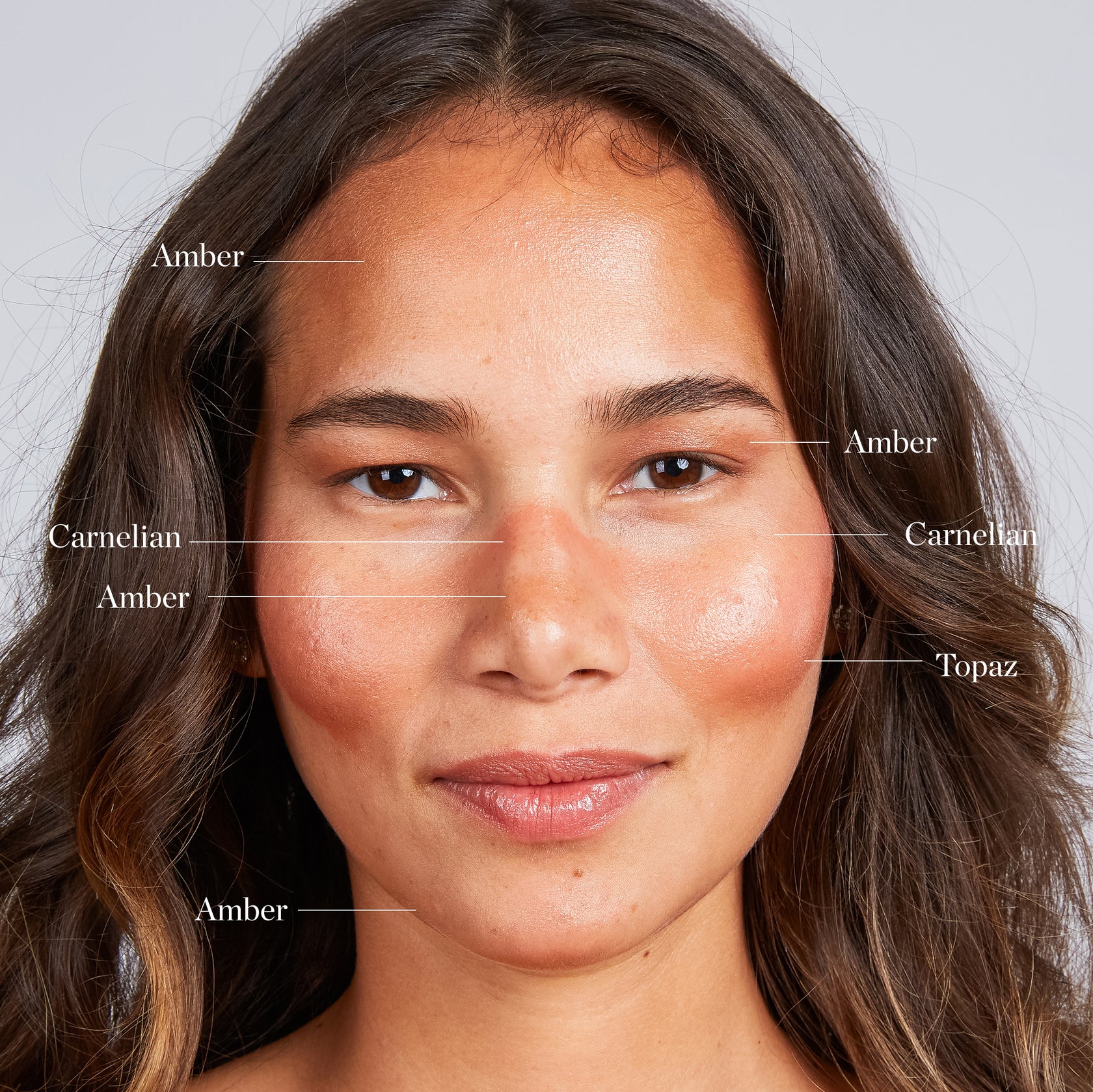 Contour Collections – Ogee