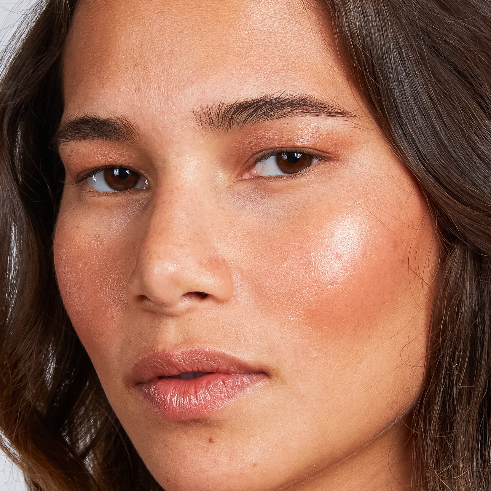 Contour Collections – Ogee